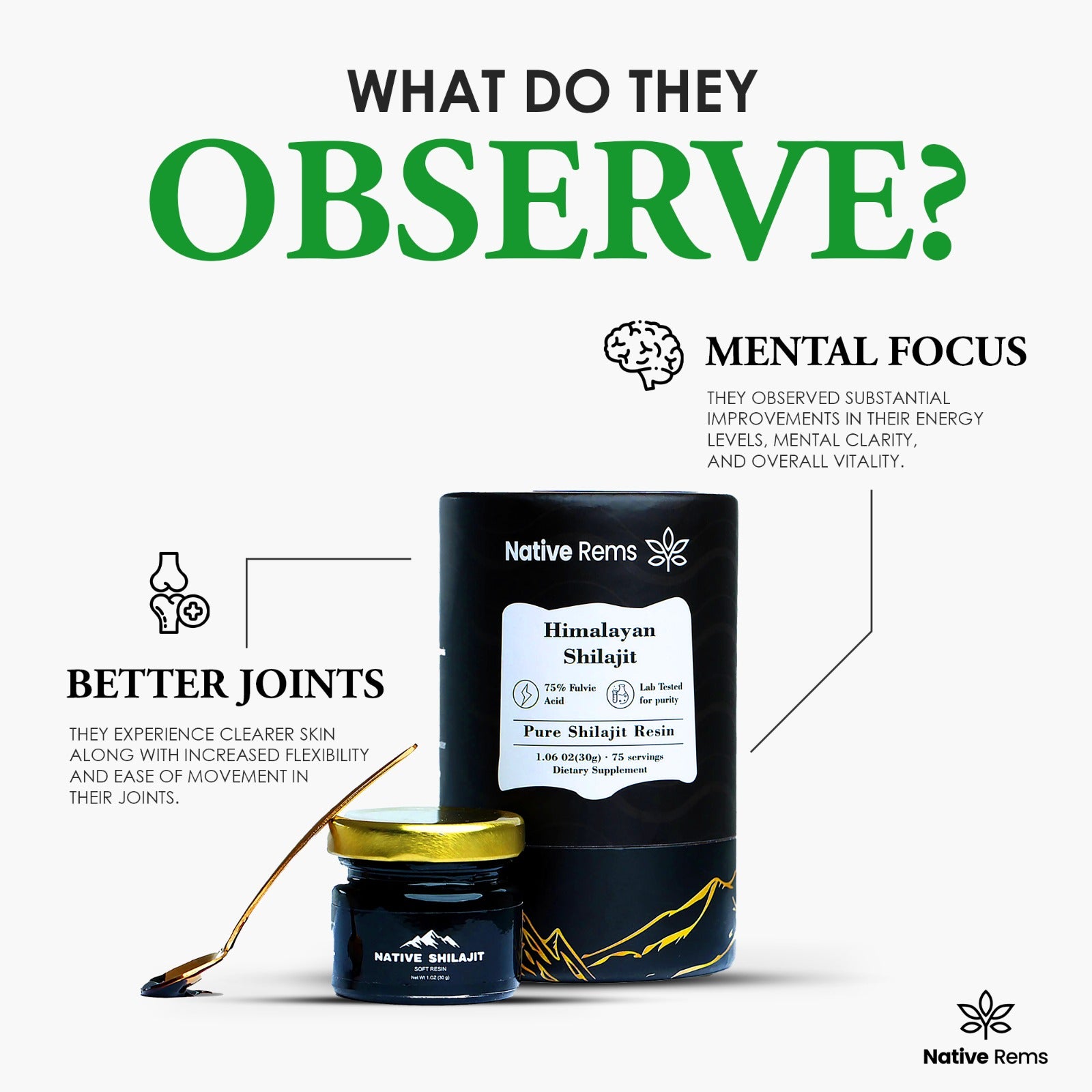 Native Shilajit – Native Rems