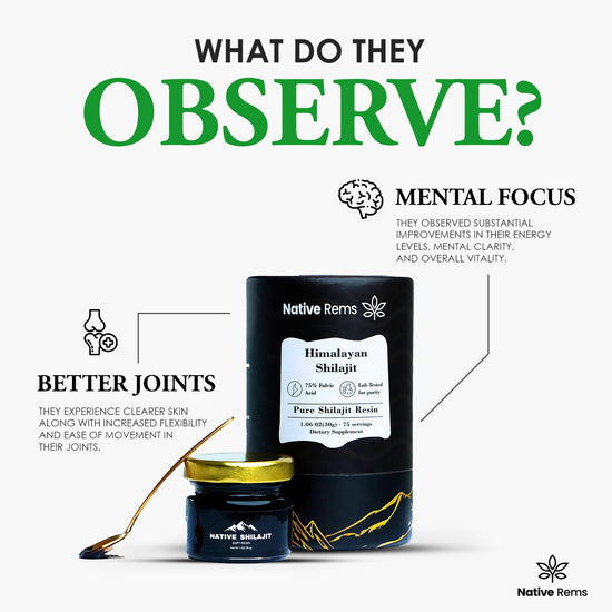 Native Shilajit – Native Rems