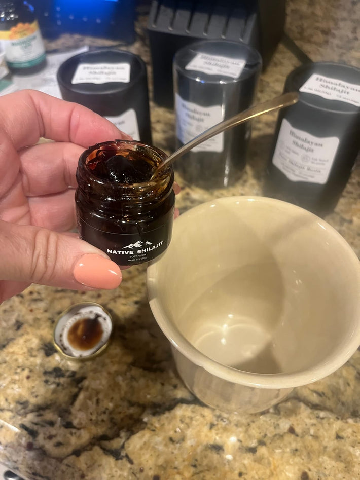 Native Rems Shilajit Honey Sticks