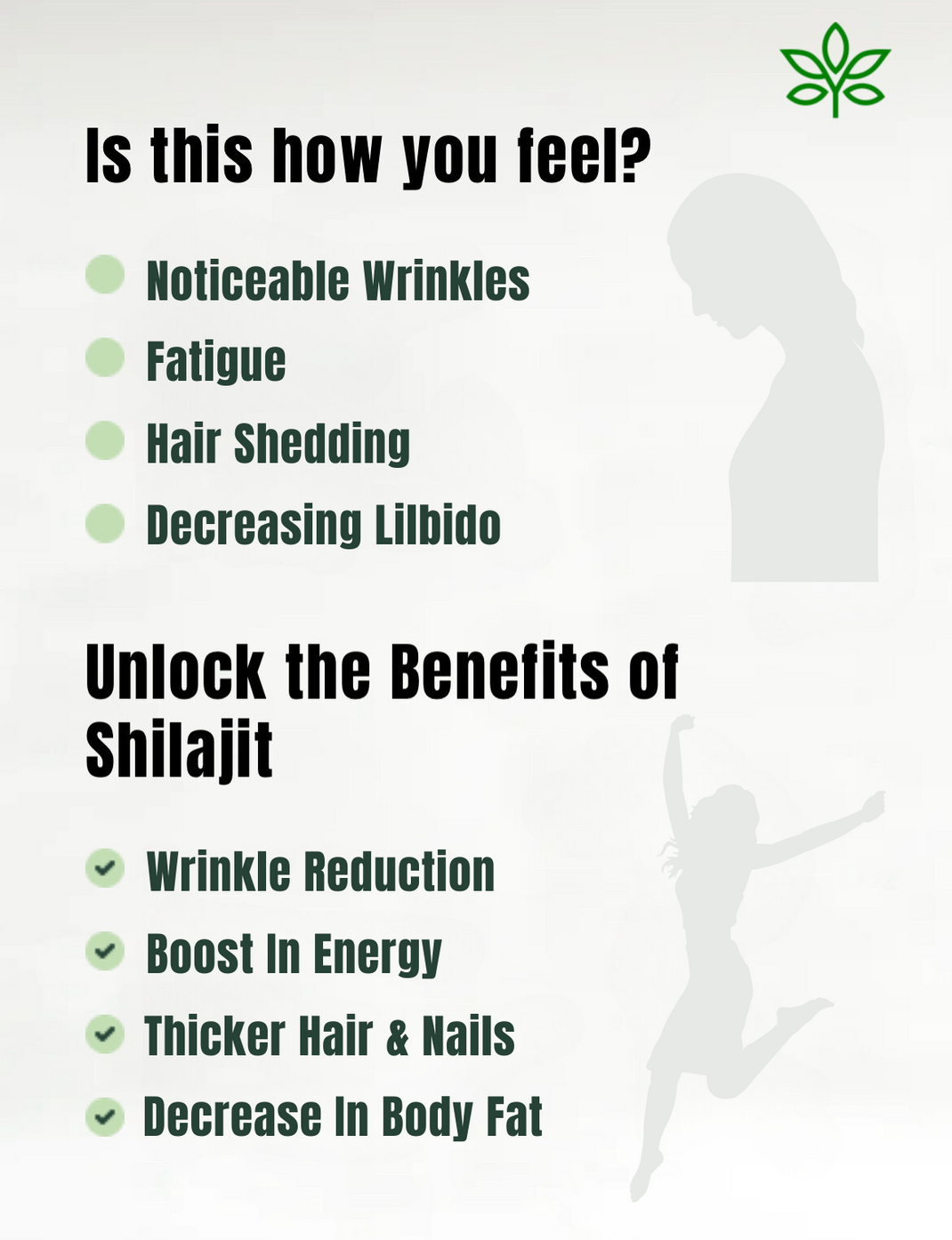 Native Rems Shilajit Honey Sticks