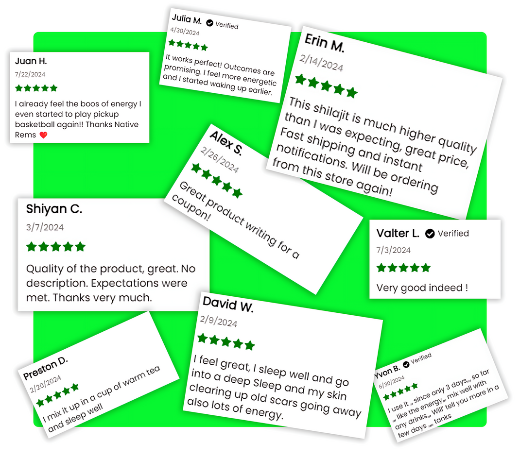 Native Rems Shilajit Honey Sticks